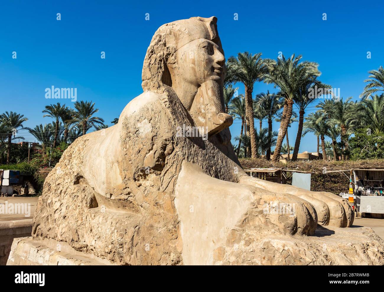 Sphinx of Memphis in the Village of Mit Rahina or Memphis Museum. Egypt ...