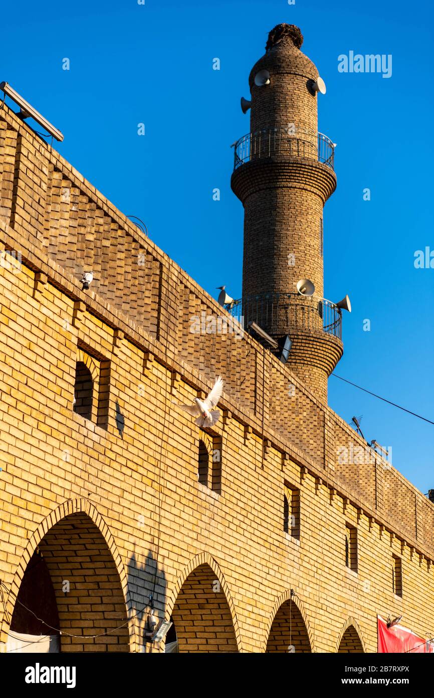 Iraqi kurdistan wildlife hi-res stock photography and images - Alamy