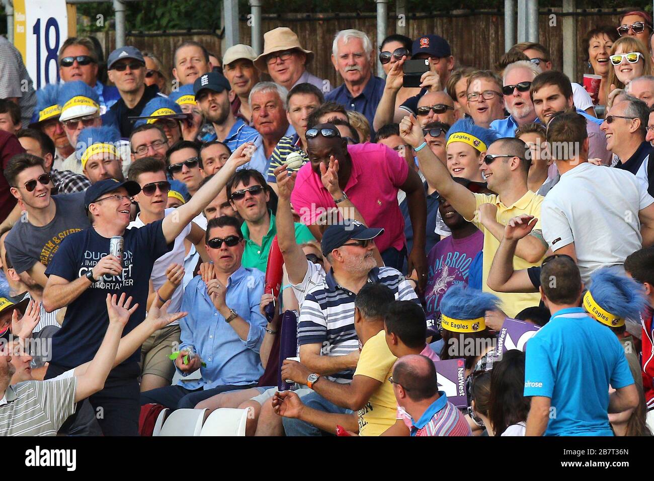 Cricket crowd catch hi-res stock photography and images - Alamy