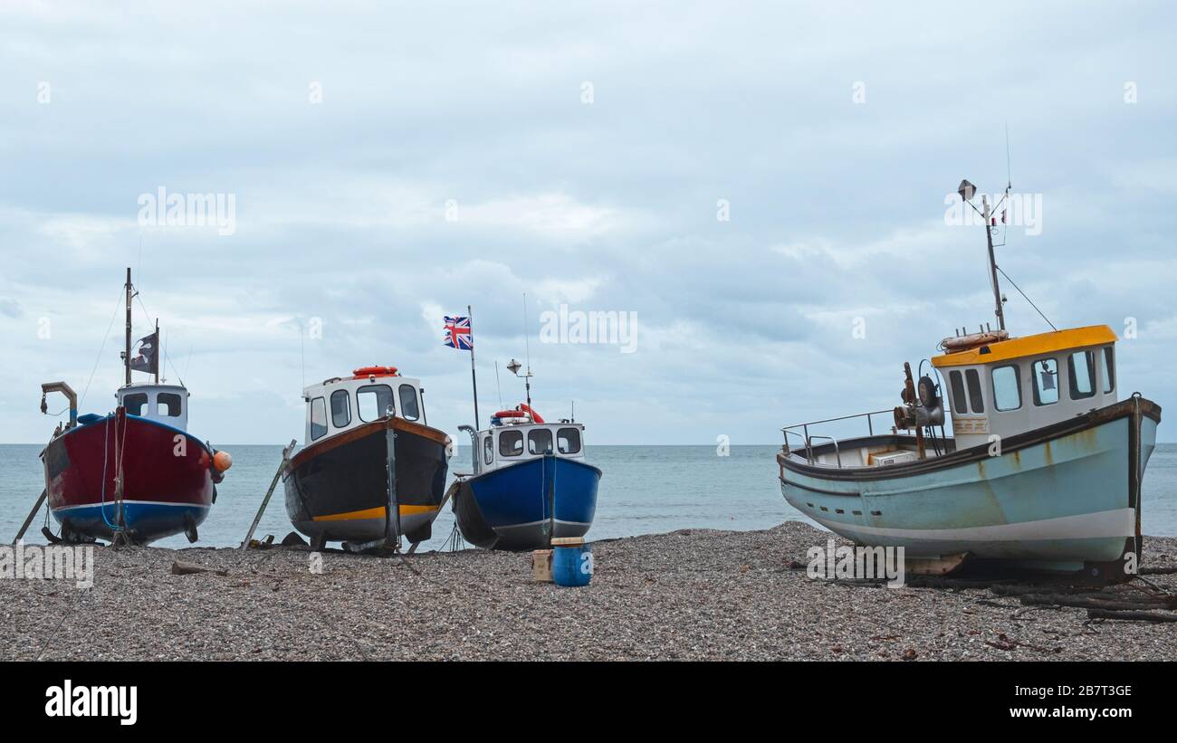 Some of the local fishing fleet stranded on the pebble beach at Beer in ...