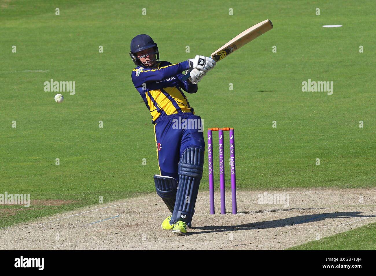 Wagg High Resolution Stock Photography and Images - Alamy