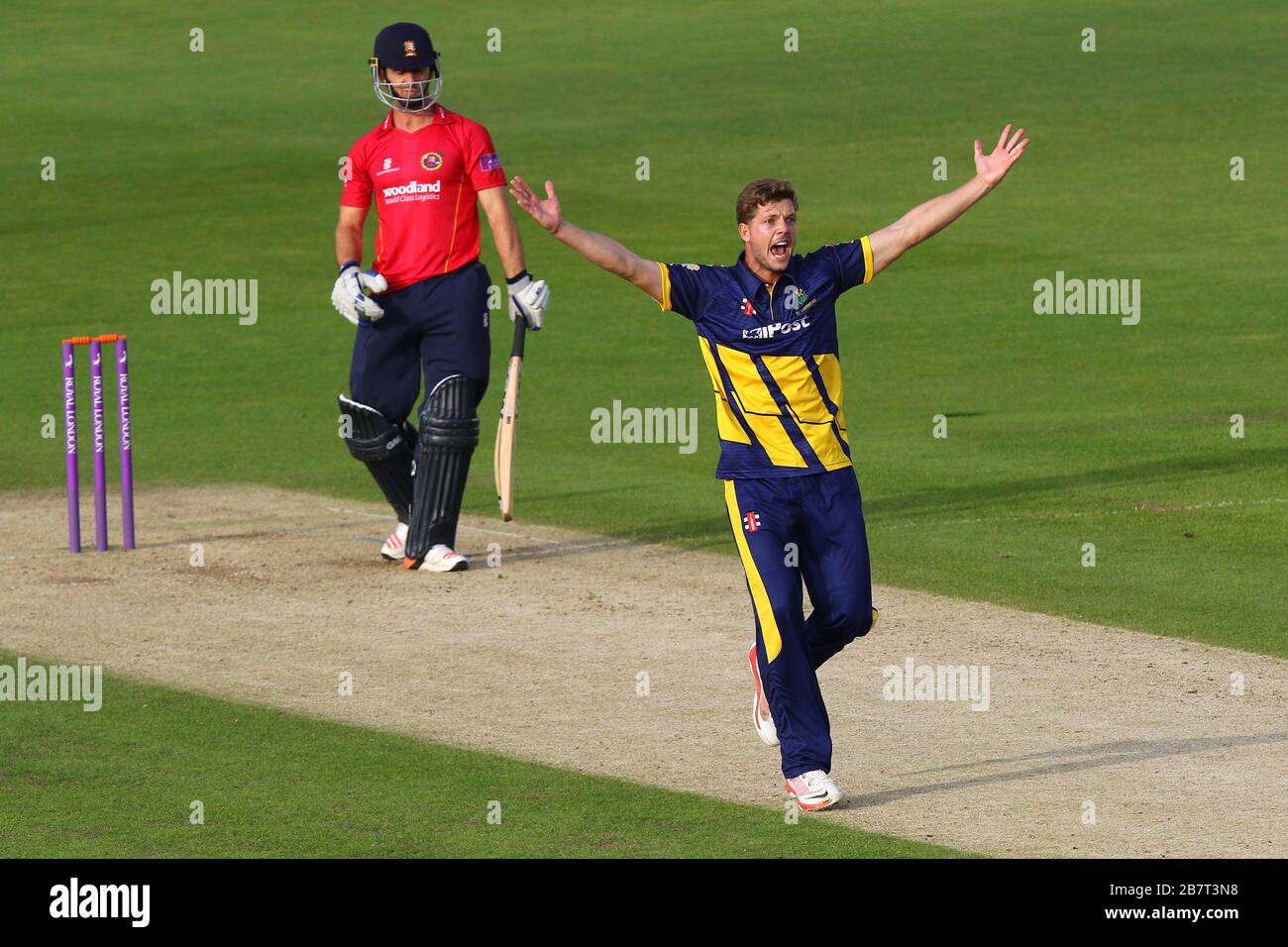 Craig meschede hi-res stock photography and images - Alamy