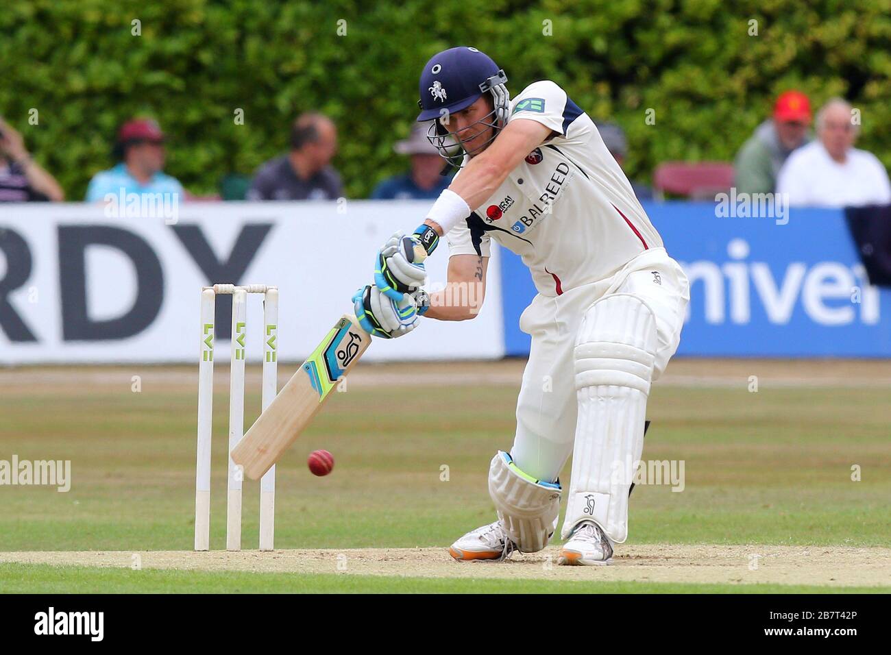 Joe denly hi-res stock photography and images - Alamy