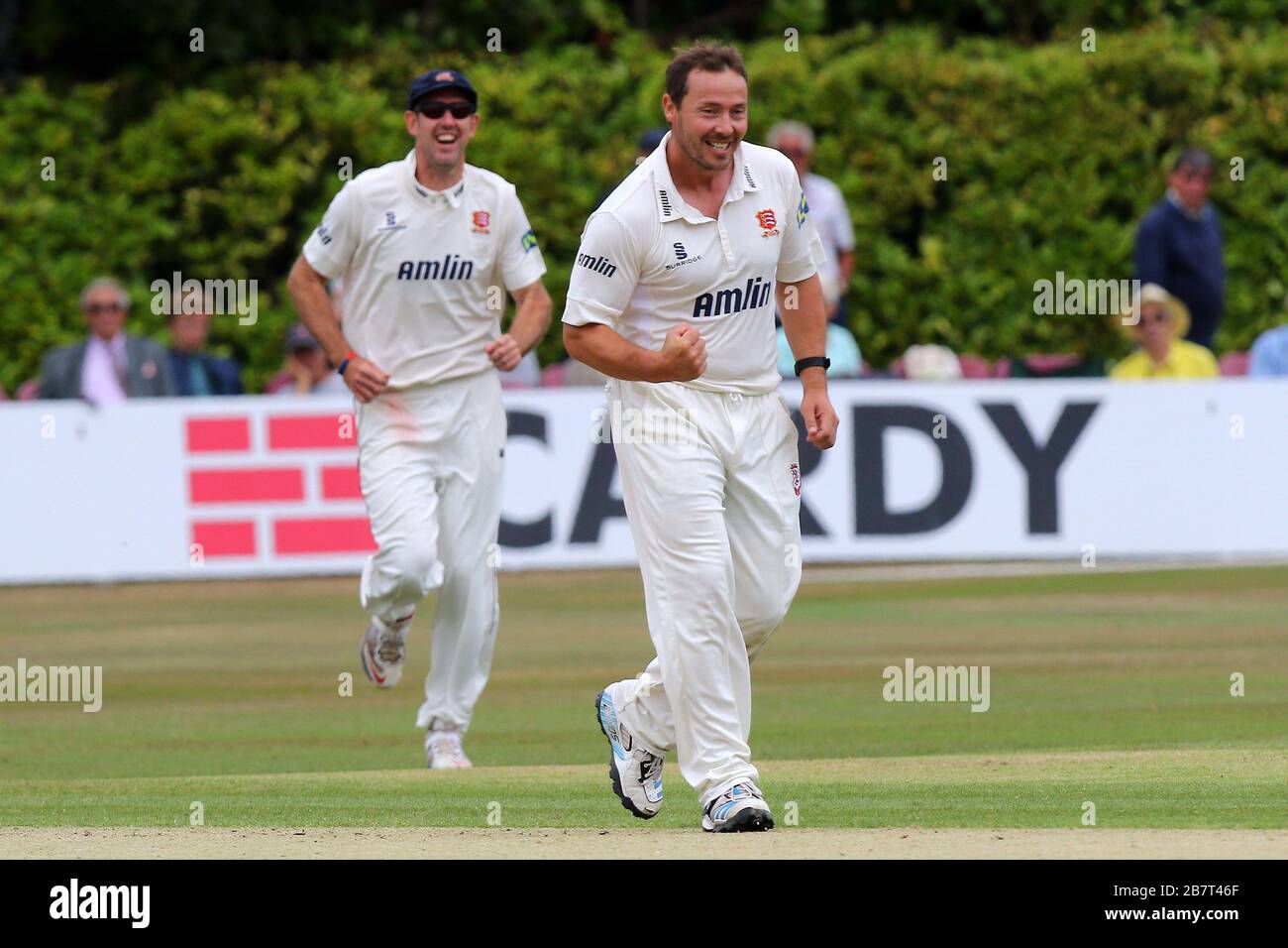 Graham Napier of Essex celebrates taking the wicket of Rob Key Stock ...