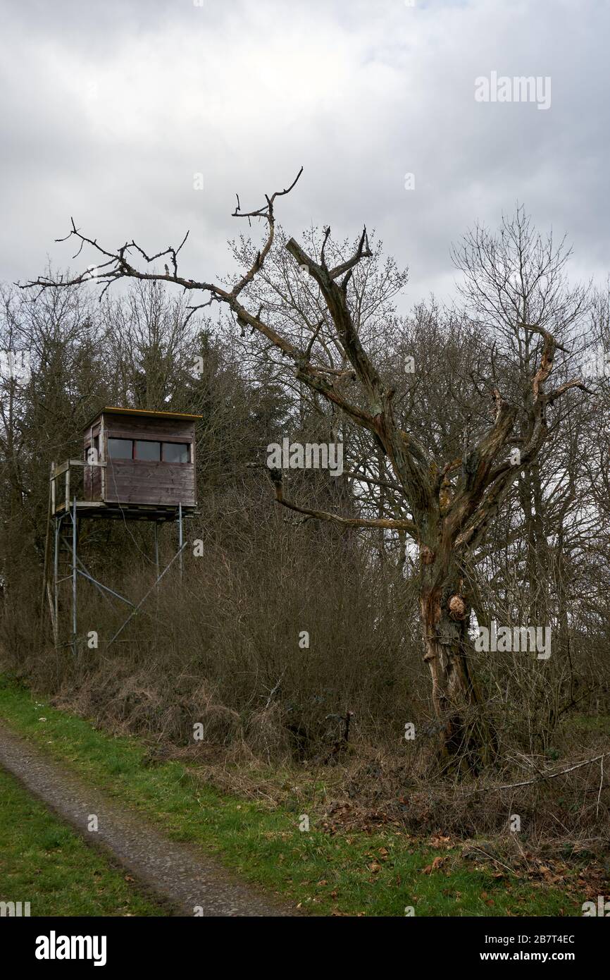 Hunting cabin in the woods on the field outdoors Stock Photo - Alamy