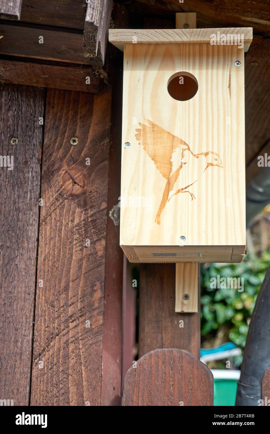 Tree mounted nesting box hi-res stock photography and images - Alamy