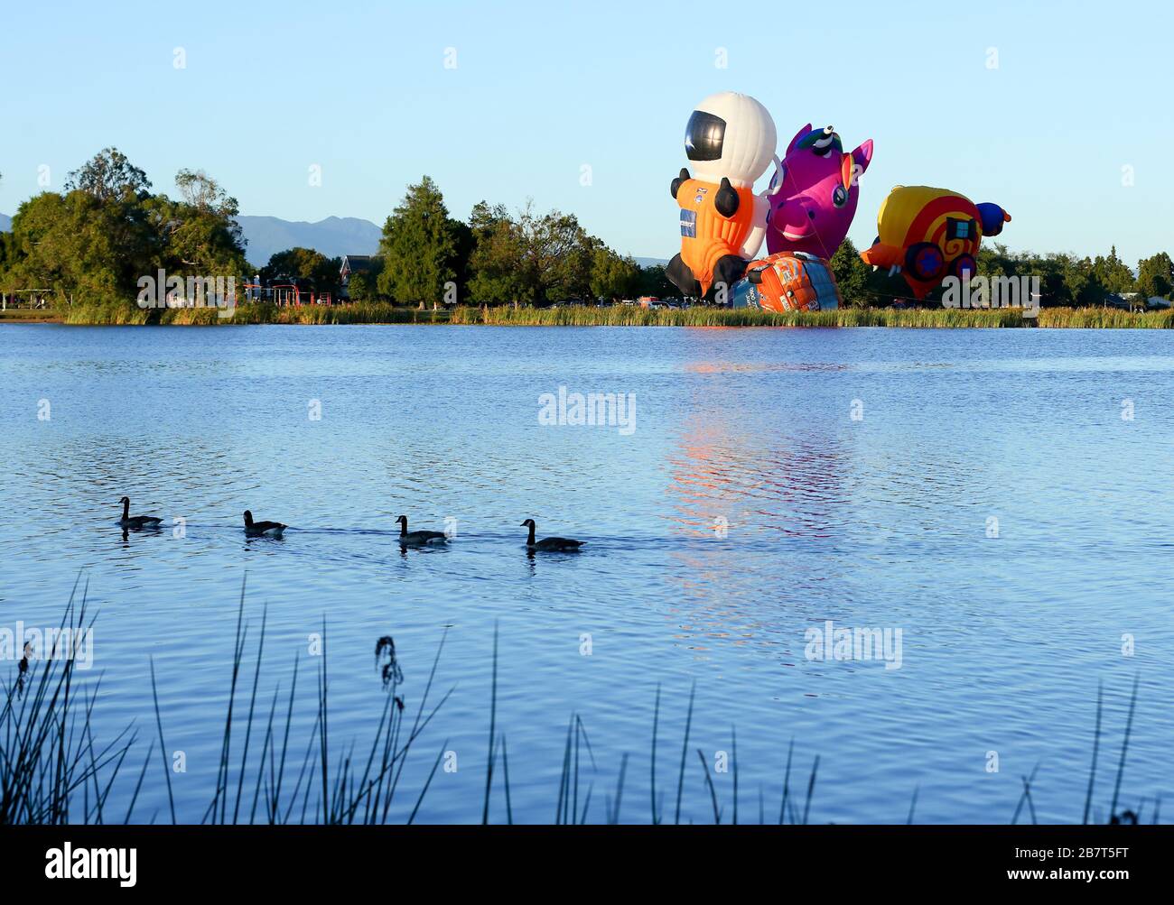 Hamilton, New Zealand. 18th Mar, 2020. Hot air balloons of different ...