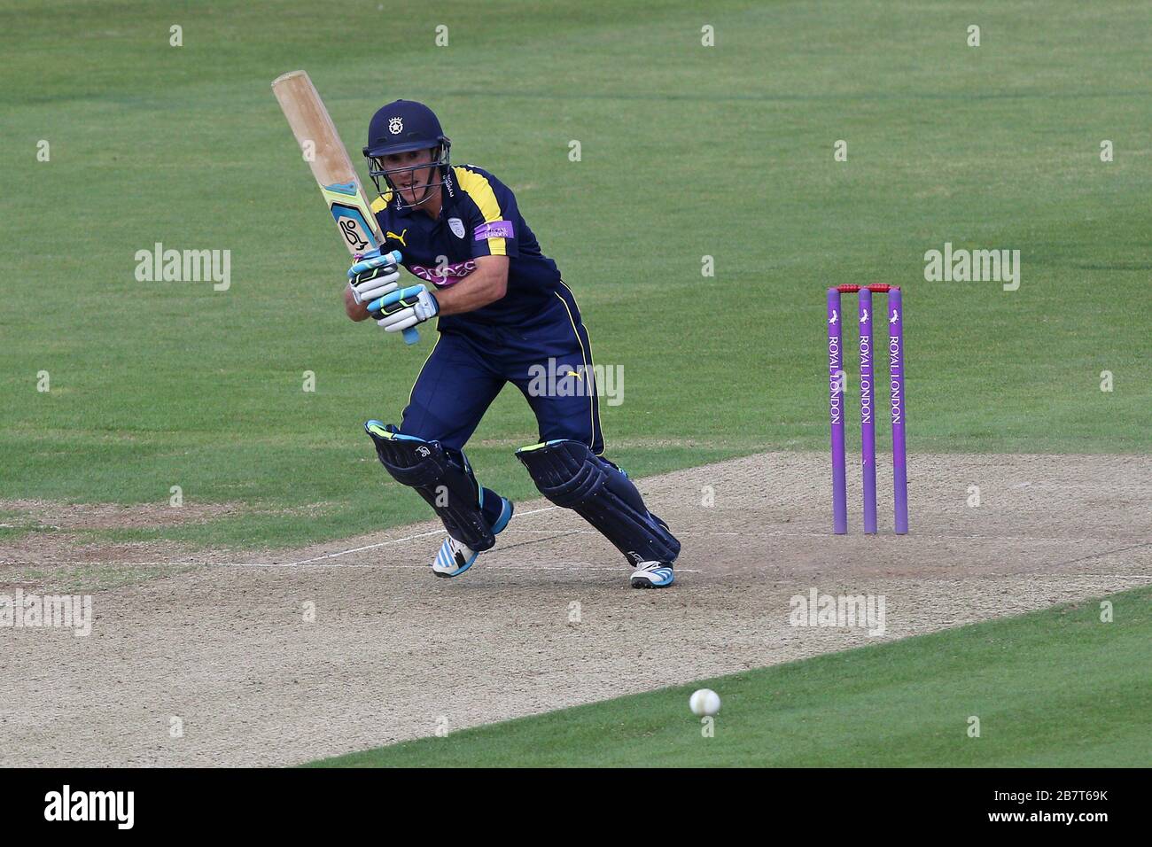 Will Smith in batting action for Hampshire Stock Photo - Alamy