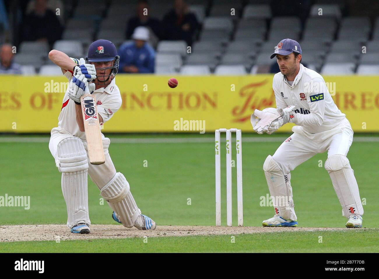 Three stumps hi-res stock photography and images - Alamy