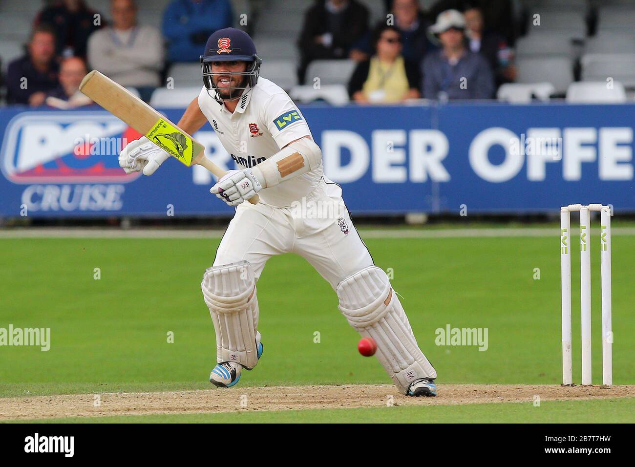 Mark pettini hi-res stock photography and images - Alamy