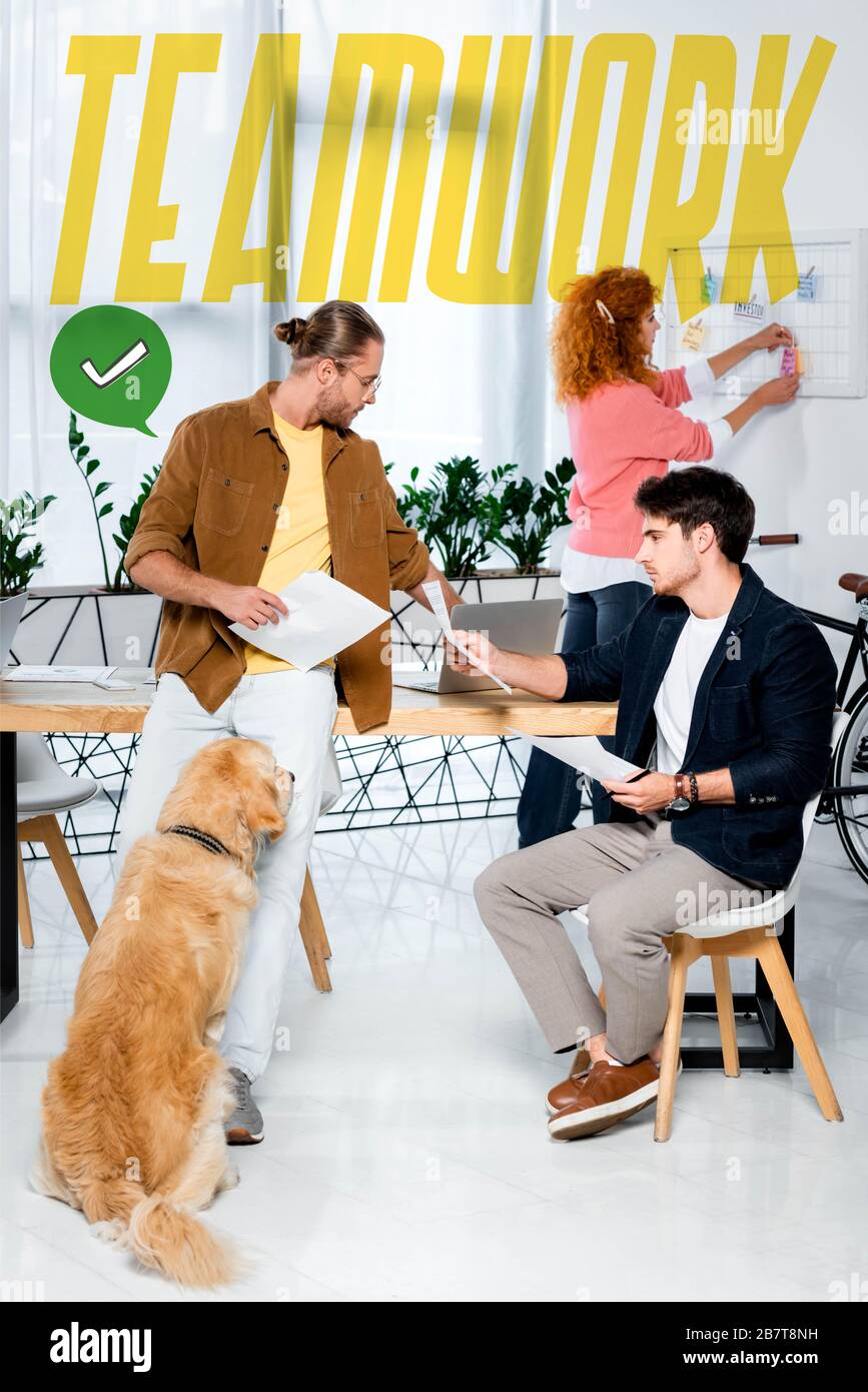 handsome friends doing paperwork and golden retriever sitting in office ...