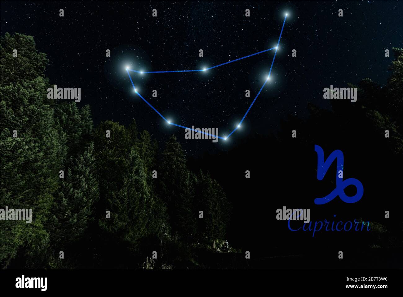 dark landscape with night starry sky and Capricorn constellation Stock ...