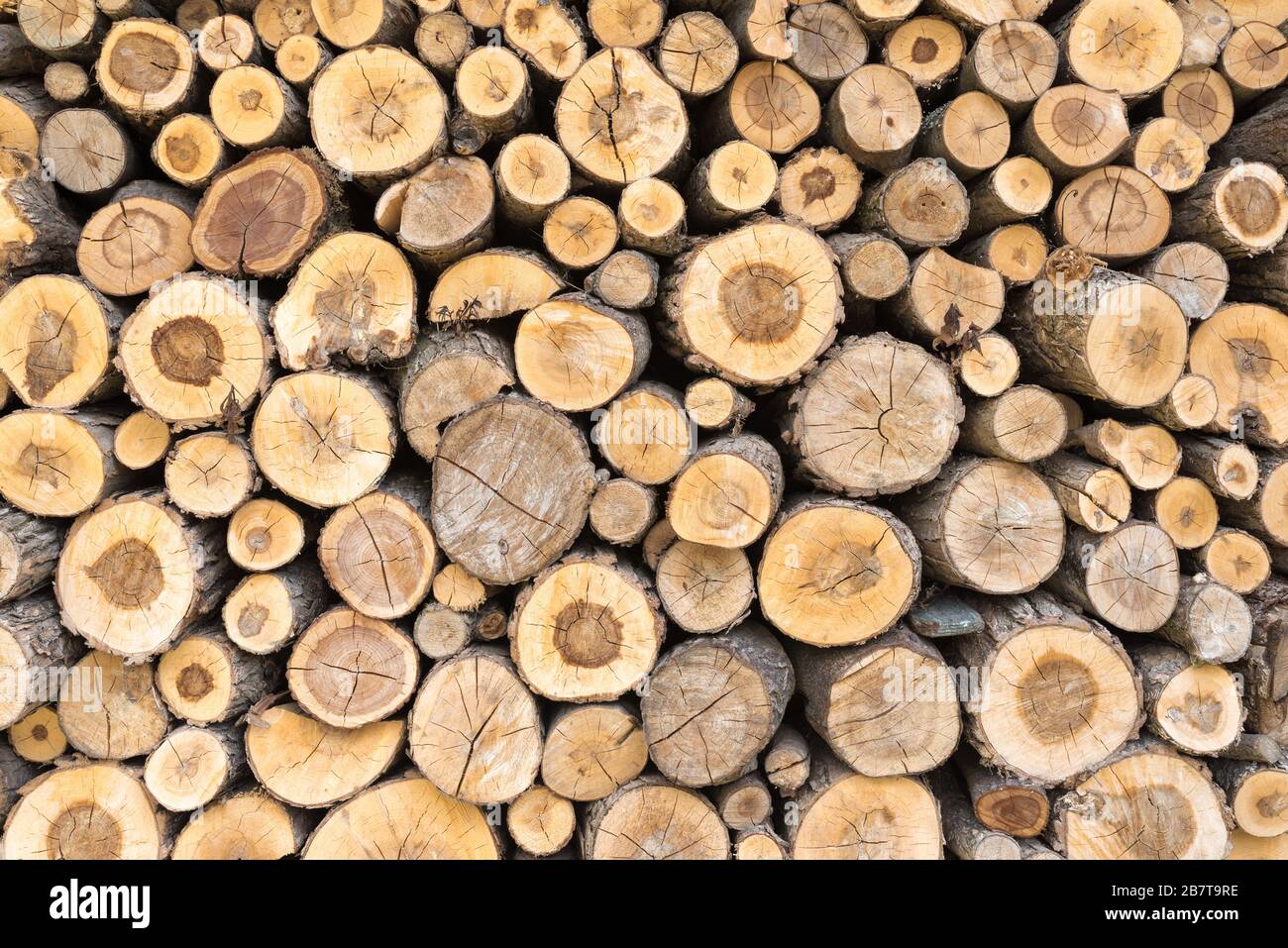 Wall of stacked wood logs for background Stock Photo - Alamy