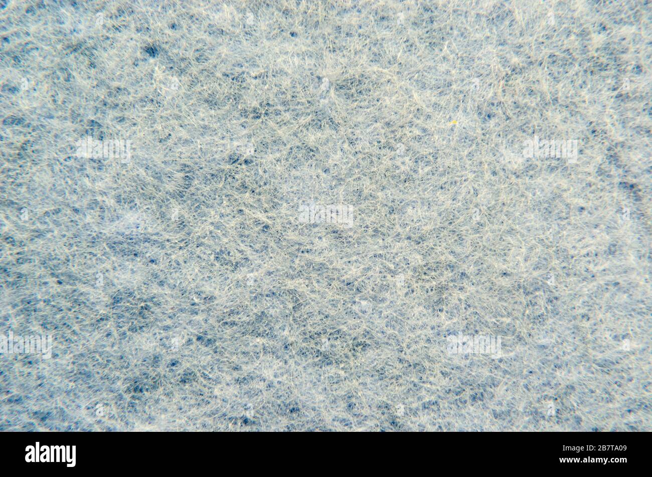 paper texture close up 14 Stock Photo - Alamy