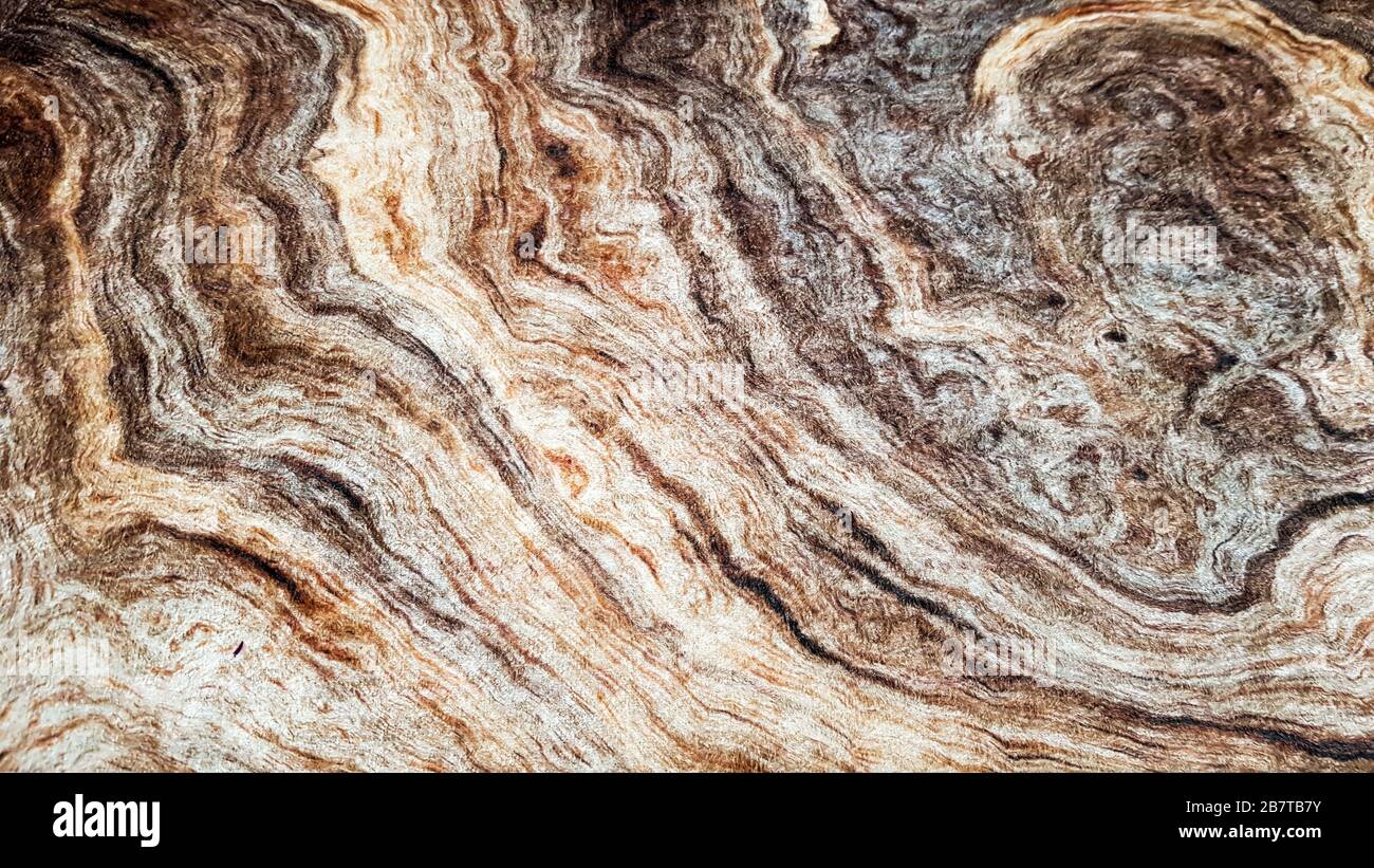 The surface of Sandstone with wavy brown veins. Sulphide agate texture ...