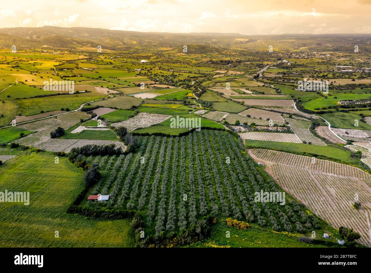 Fruit field hi-res stock photography and images - Alamy