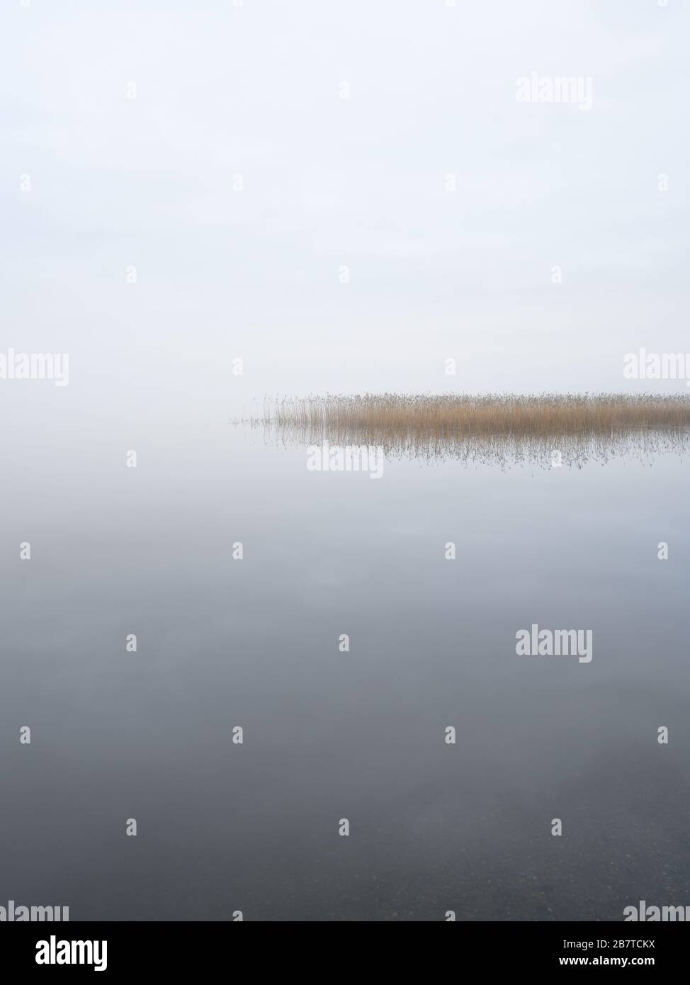 Mist over water hi-res stock photography and images - Alamy