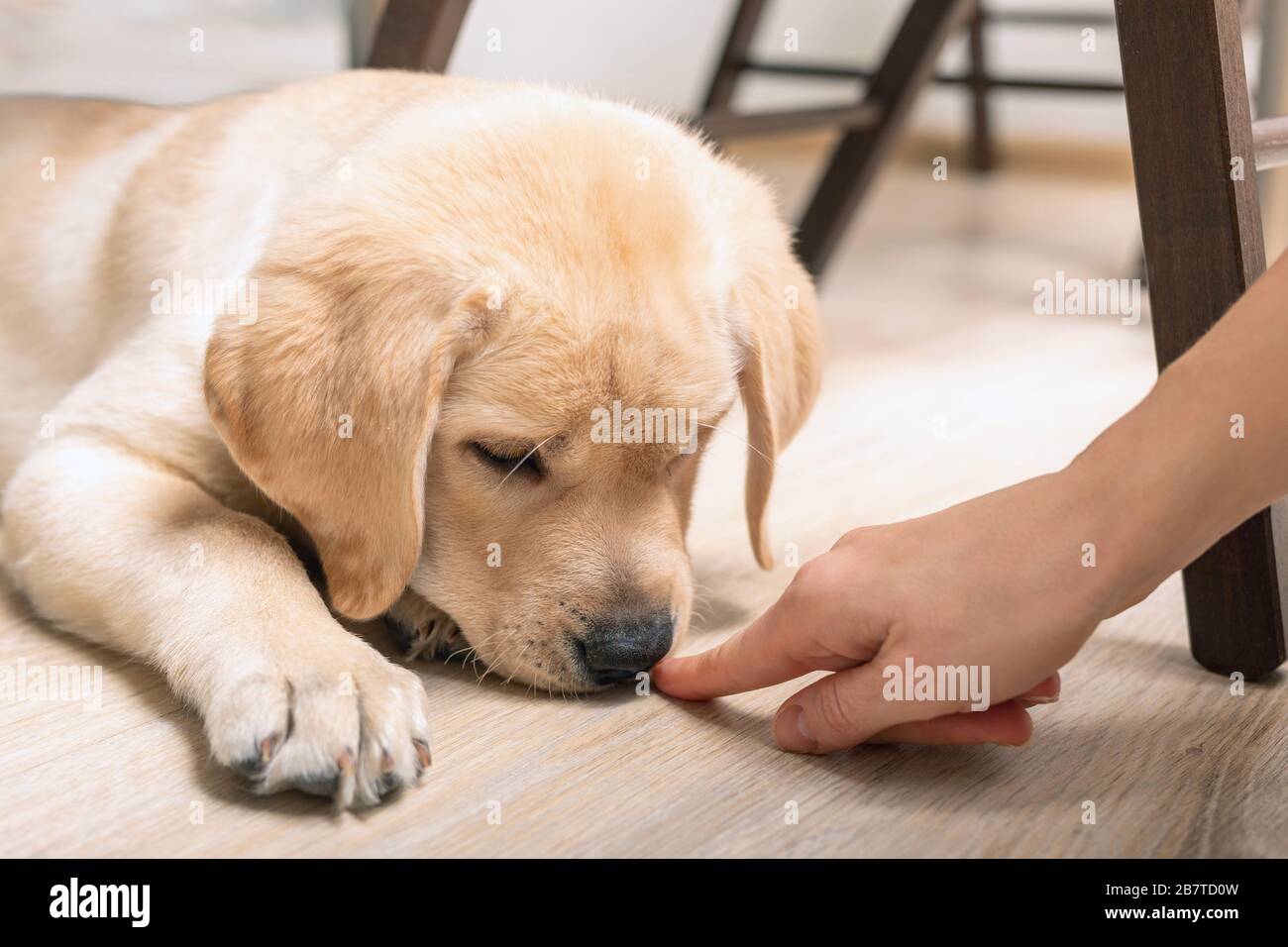 Friends high five hand shake hi-res stock photography and images - Alamy