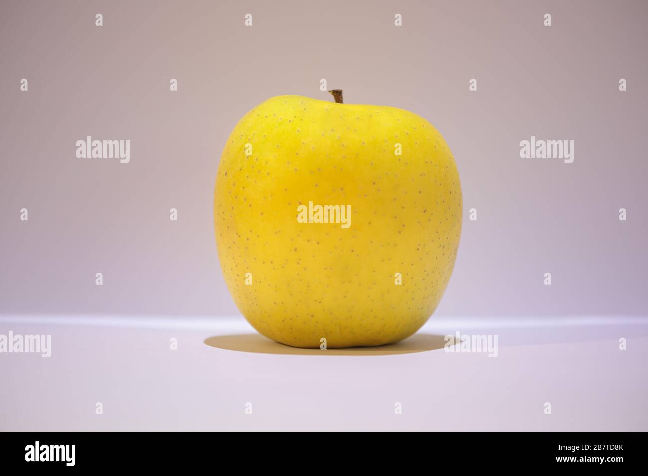 Agriculture golden delicious apple tree hi-res stock photography and ...