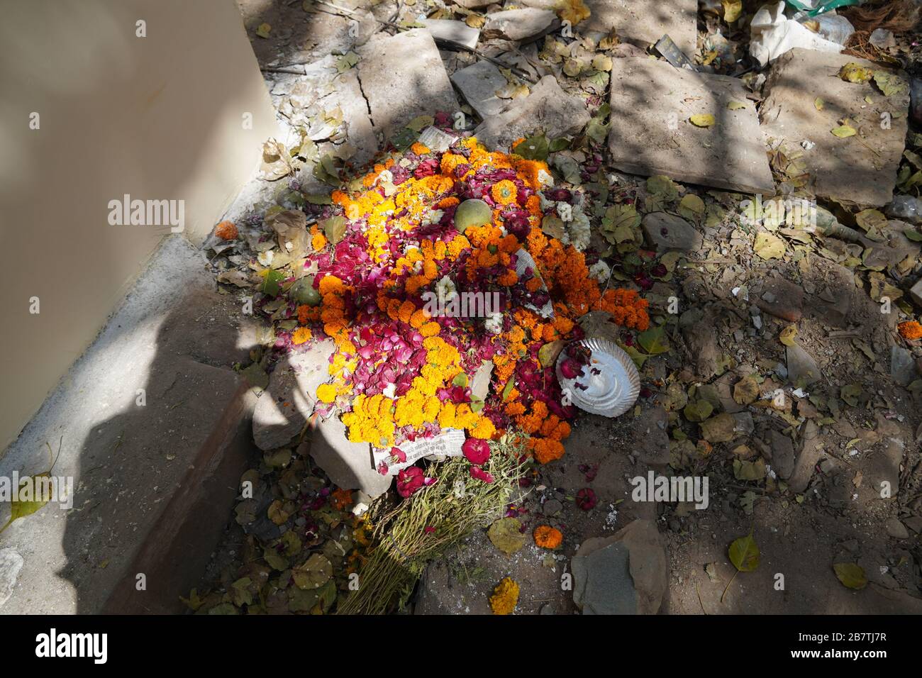 This is a picture of pollutants like decomposing flowers. A large pile ...