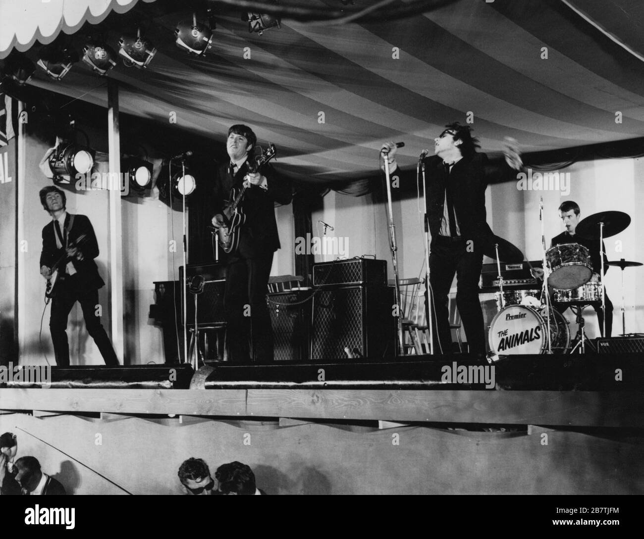 1960s the animals band hi-res stock photography and images - Alamy