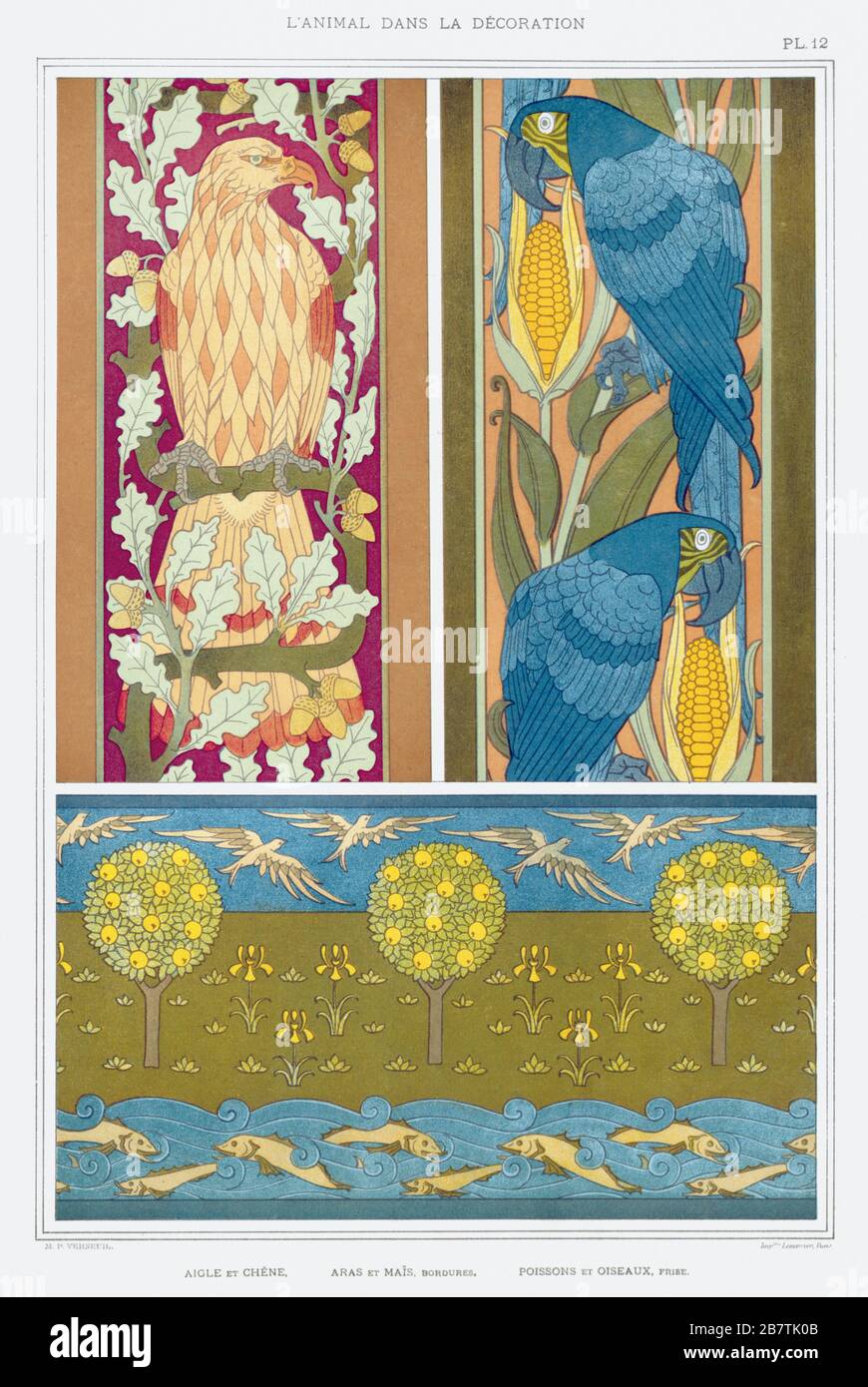 White eagle corn hi-res stock photography and images - Alamy