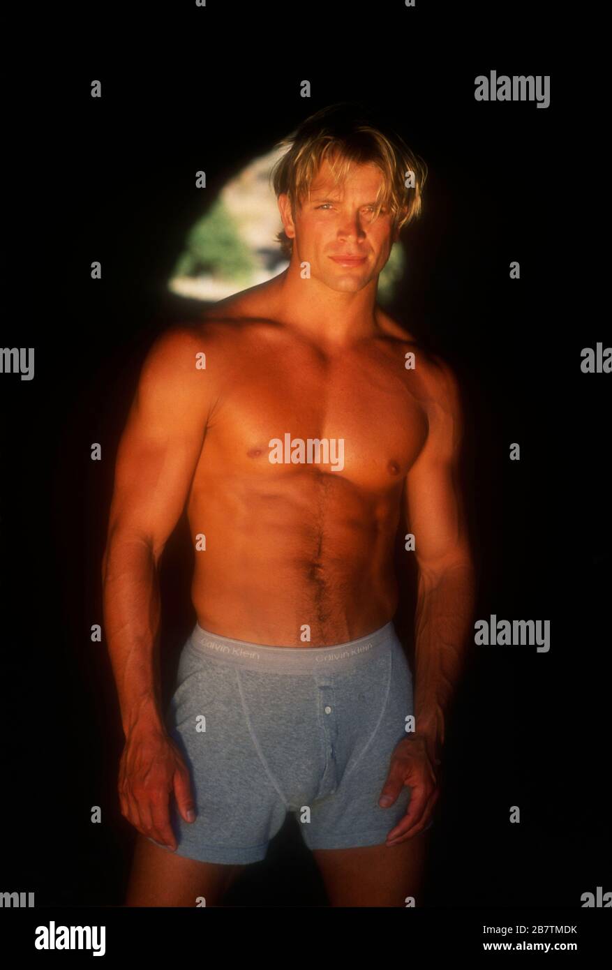 Los Angeles, California, USA 27th July 1995 (Exclusive) Actor David ...