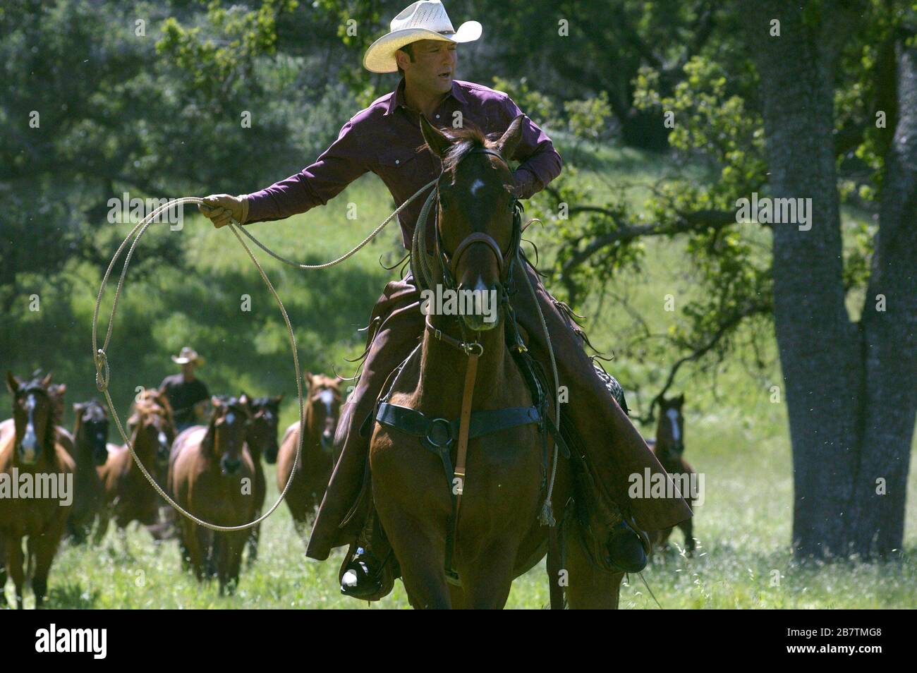 Flicka movie hi-res stock photography and images - Alamy