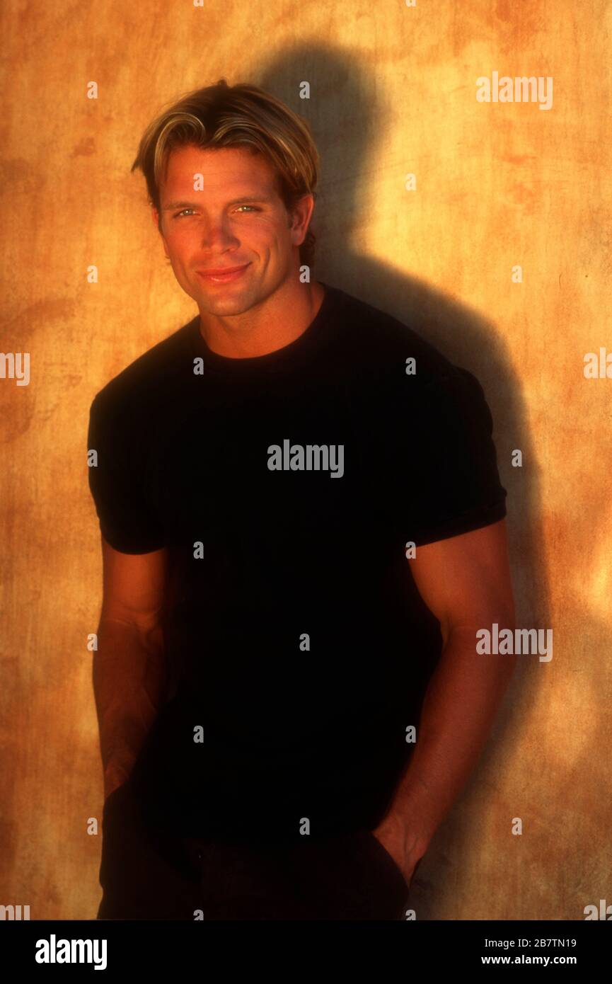 Los Angeles, California, USA 27th July 1995 (Exclusive) Actor David ...