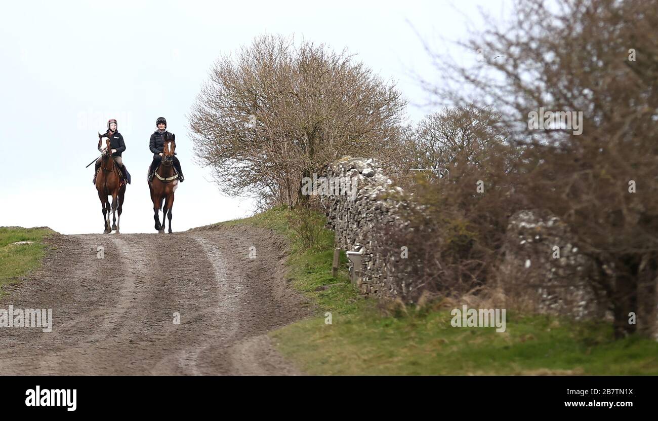 Horses on the gallops in Middleham, North Yorkshire Stock Photo - Alamy