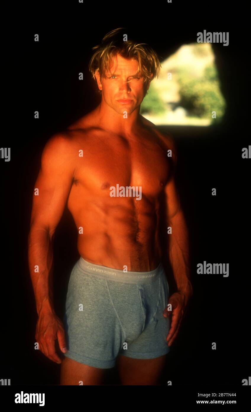 Los Angeles, California, USA 27th July 1995 (Exclusive) Actor David ...