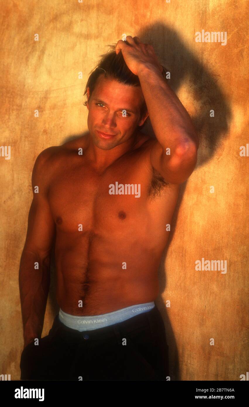 Los Angeles, California, USA 27th July 1995 (Exclusive) Actor David ...