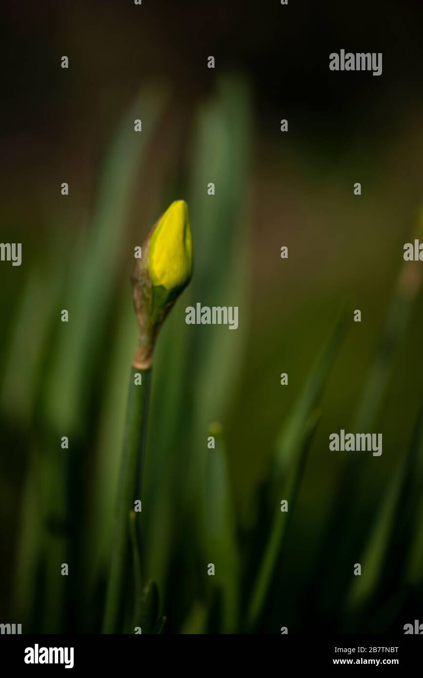 Spring is around the corner hi-res stock photography and images - Alamy