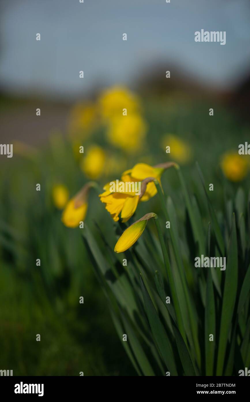 Climate promise hi-res stock photography and images - Alamy