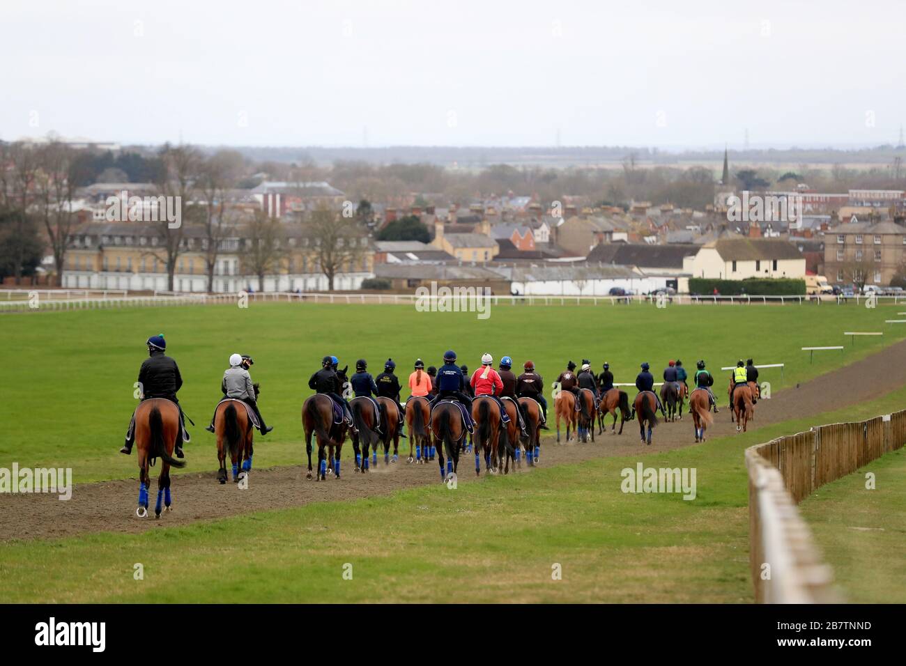 Horses on gallops in newmarket hi-res stock photography and images - Alamy