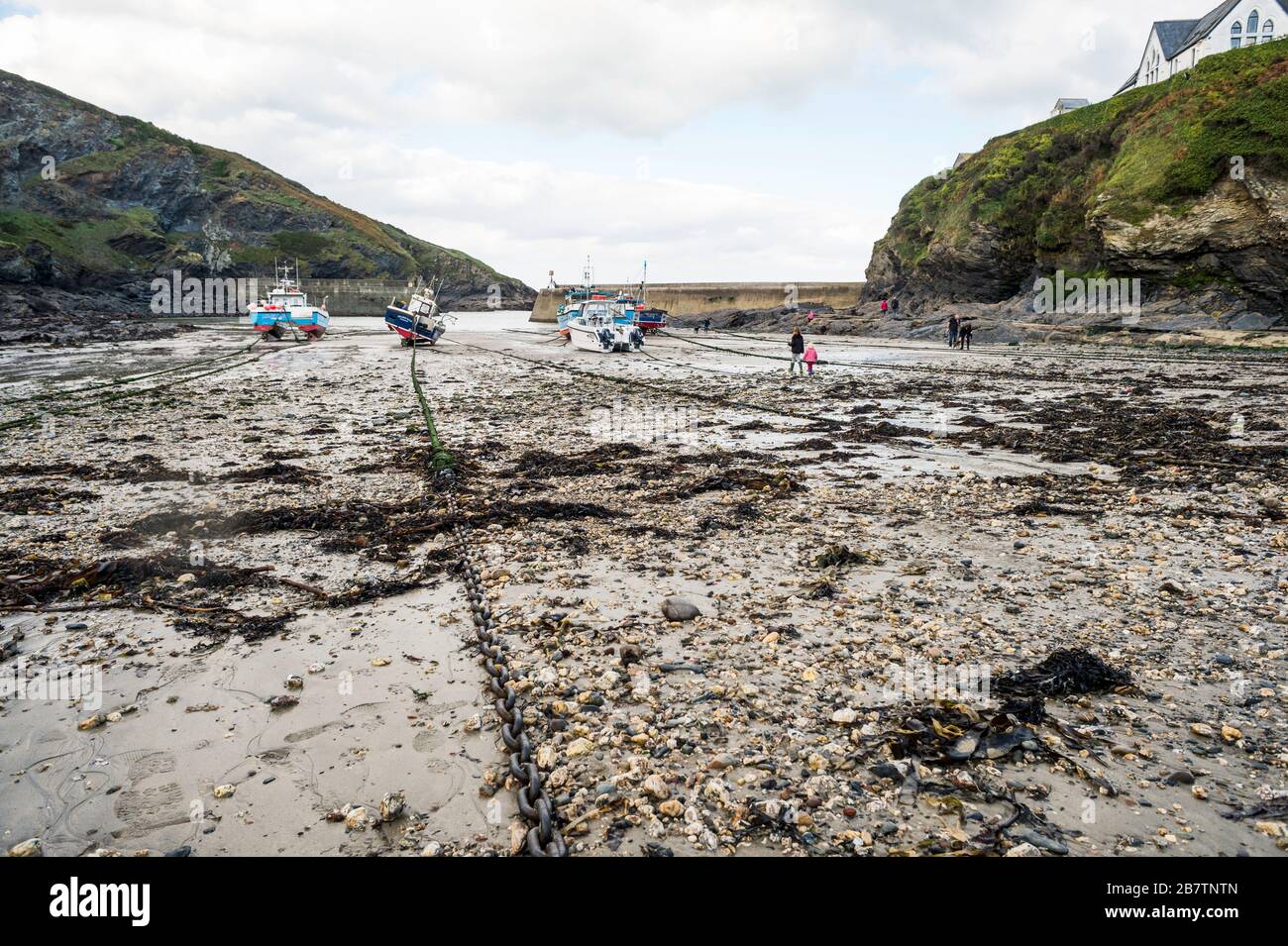Fisherman's friends port isaac hi-res stock photography and images - Alamy