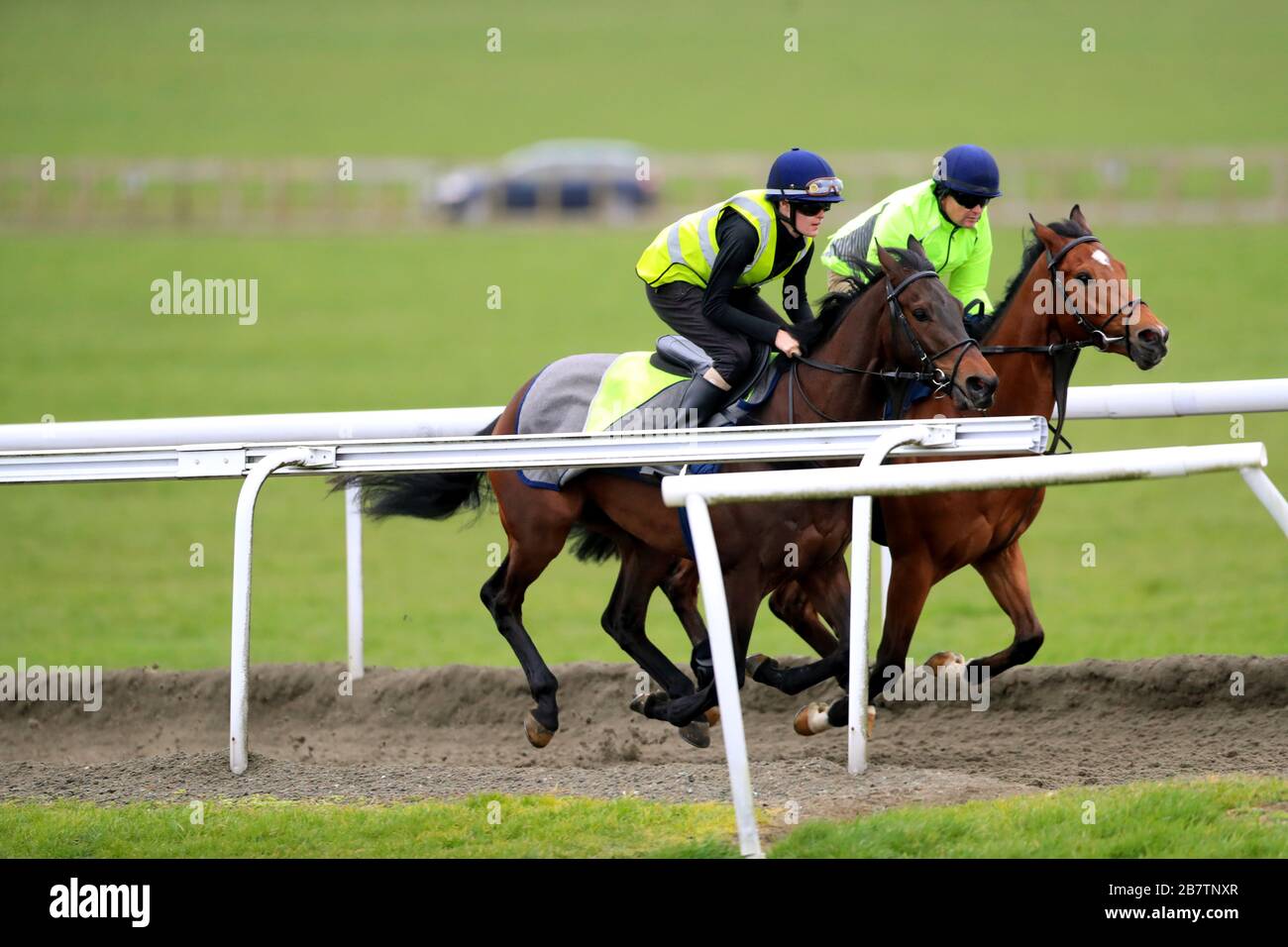 Horses on gallops in newmarket hi-res stock photography and images - Alamy
