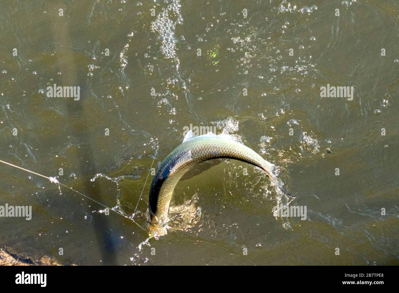 Hooked net hi-res stock photography and images - Alamy