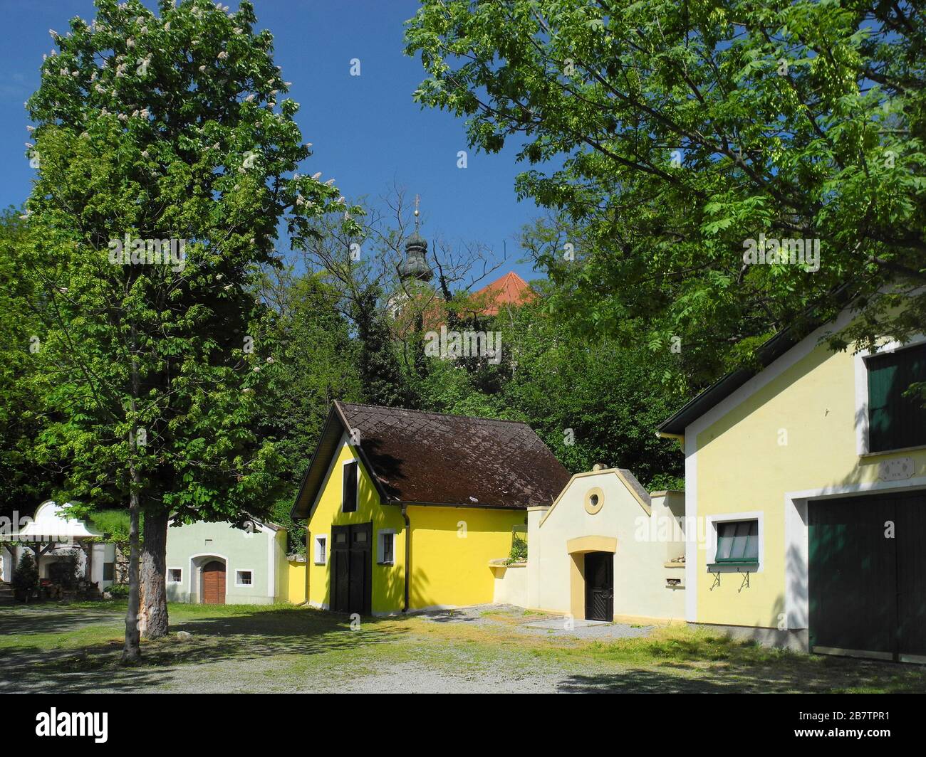 Austria, wine cellars and church, springtime in rural village ...