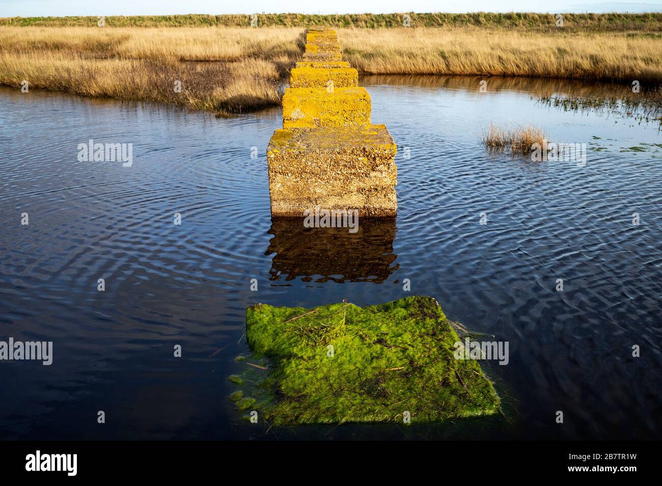 Ww2 anti invasion concrete blocks shingle hi-res stock photography and ...