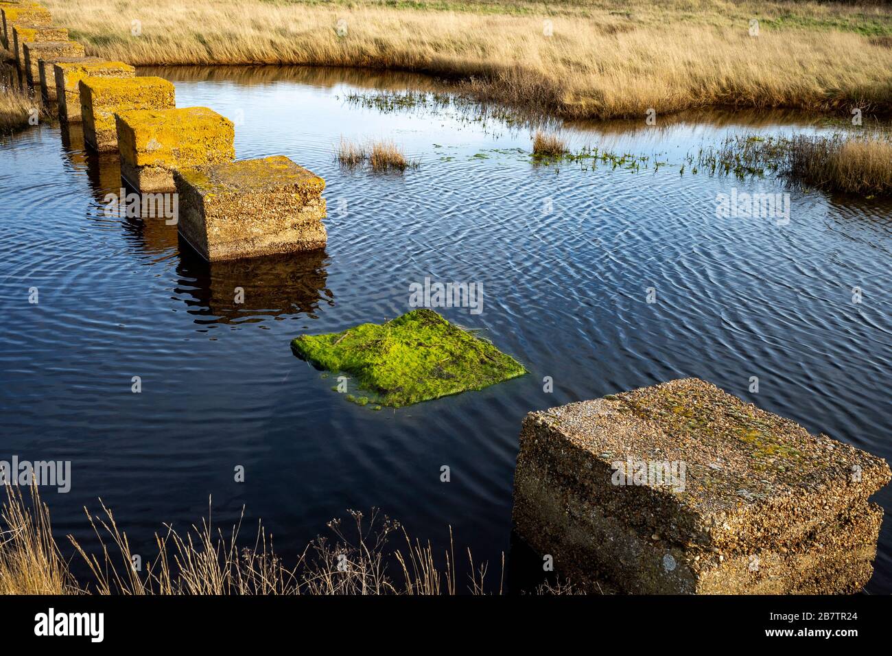 Ww2 anti invasion defences hi-res stock photography and images - Alamy