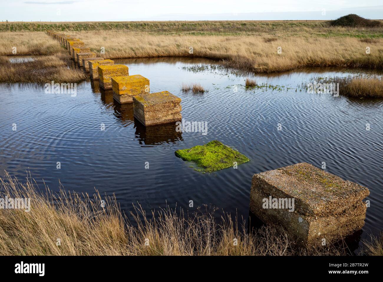 Ww2 anti invasion concrete blocks shingle hi-res stock photography and ...