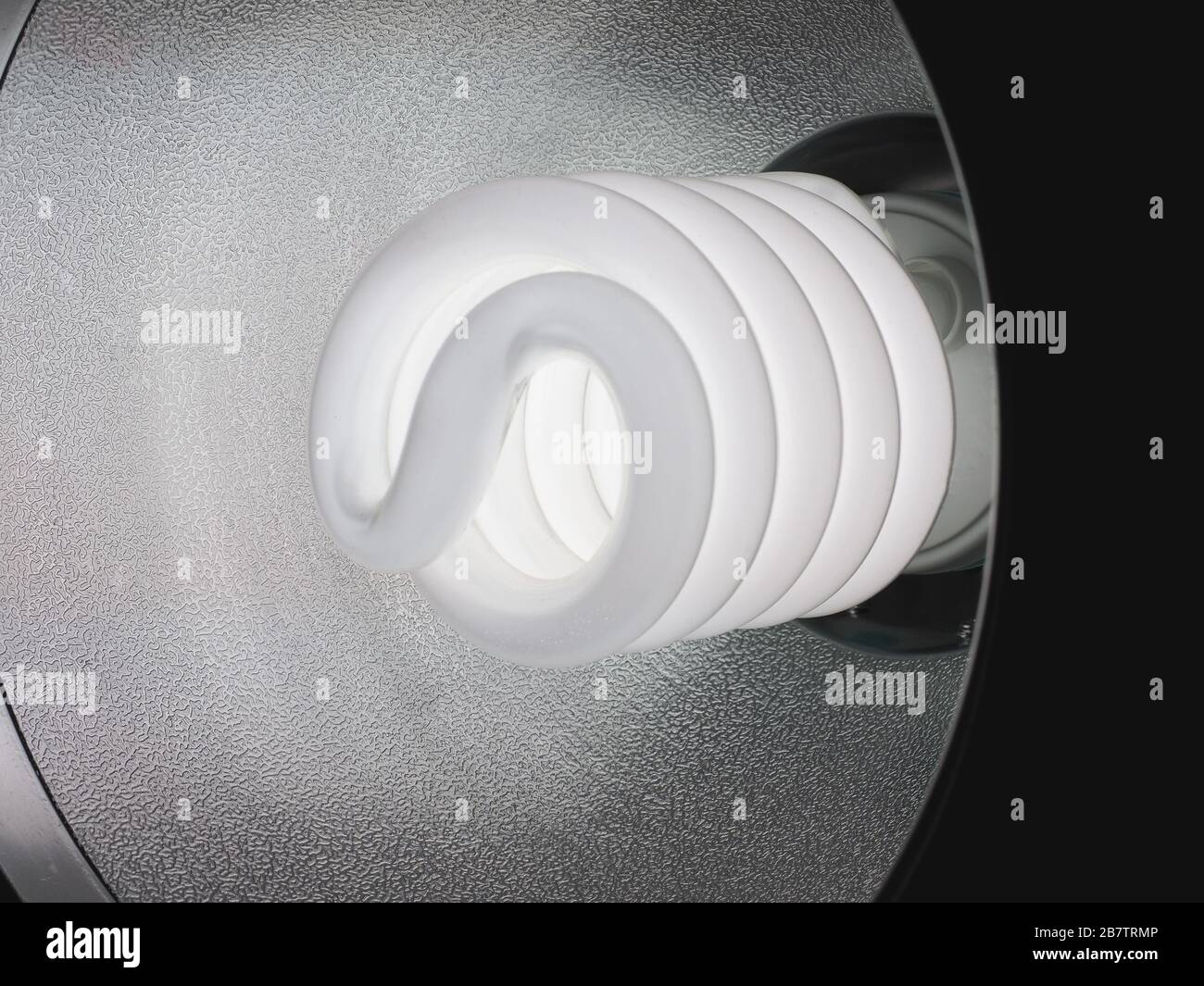 neutral white photography spotlight in a photographic studio Stock ...