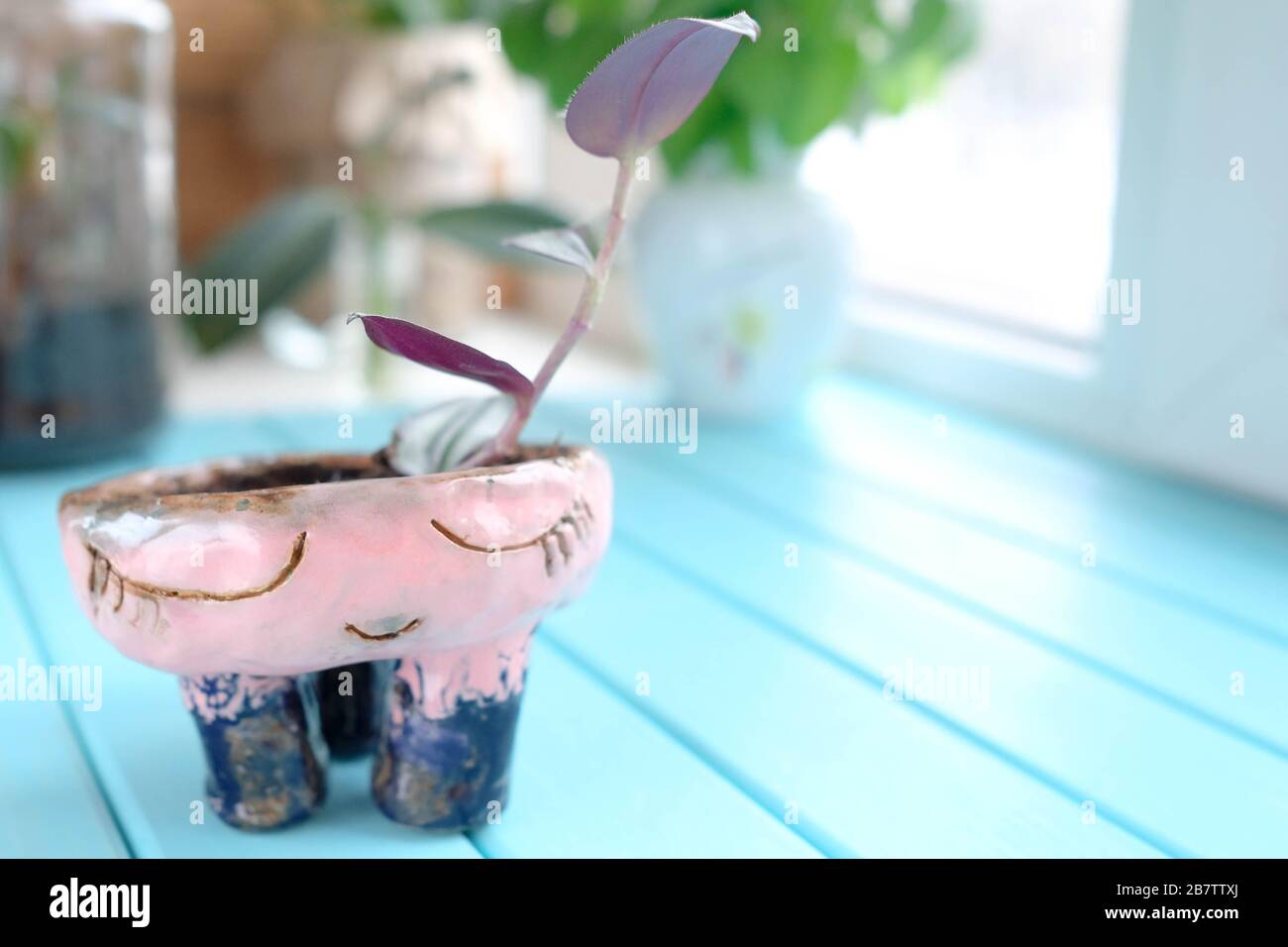 Homemade clay pot. A plant grows in a small ceramics pot. Covered in ...