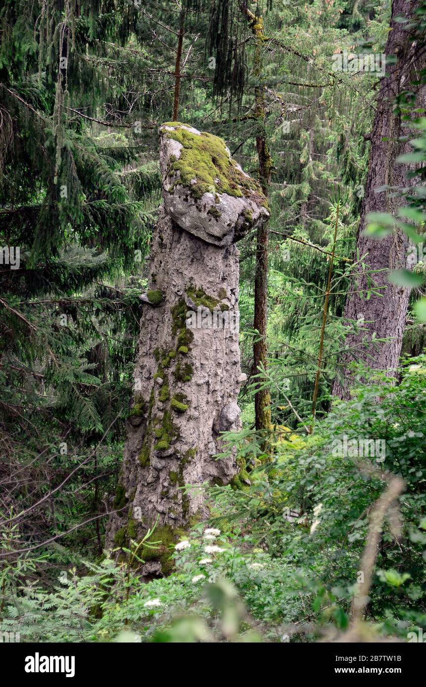 Austria, Tyrol, earth pyramids in Pitztal valley Stock Photo - Alamy