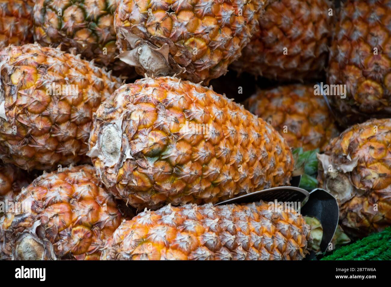 Bunch of pineapples hi-res stock photography and images - Alamy