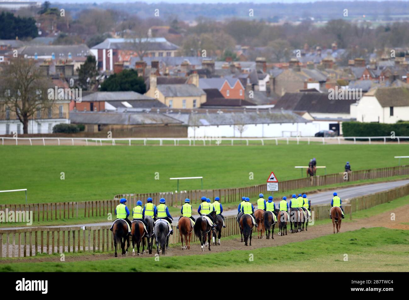 Horses on gallops in newmarket hi-res stock photography and images - Alamy