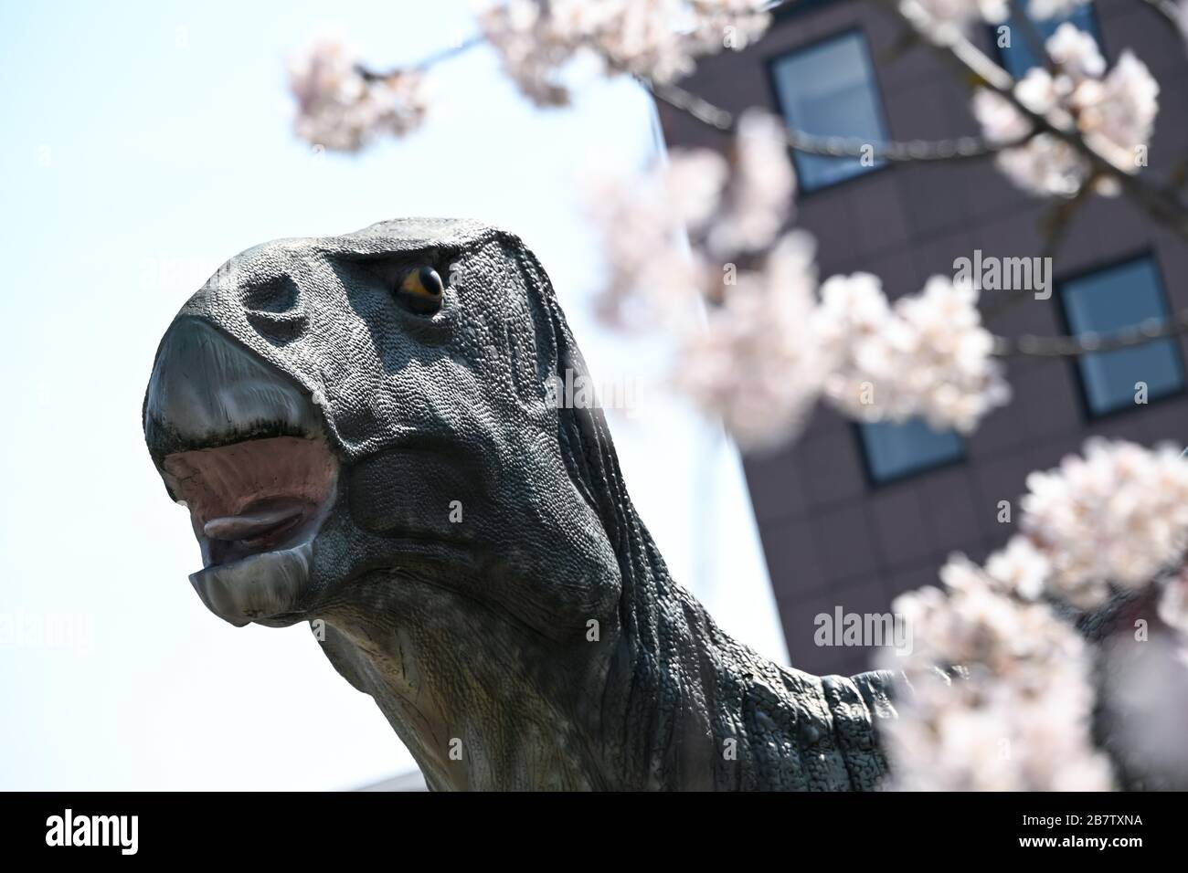 Kassel, Germany. 18th Mar, 2020. A grim face is drawn by the dino ...