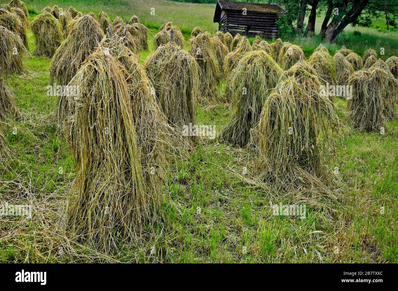 Traditional haystacks hi-res stock photography and images - Alamy
