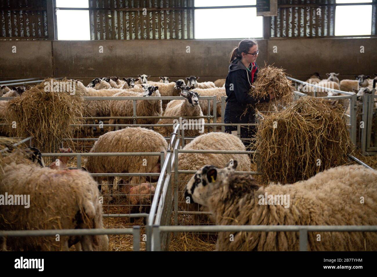 Moreton morrell college hi-res stock photography and images - Alamy